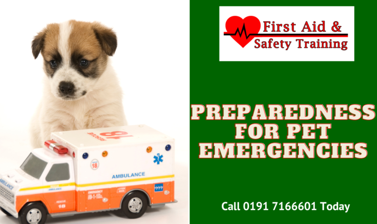 Pet First Aid Kit: Preparedness for Pet Emergencies