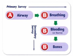 First Aid Emergency Action Plan | First Aid Training